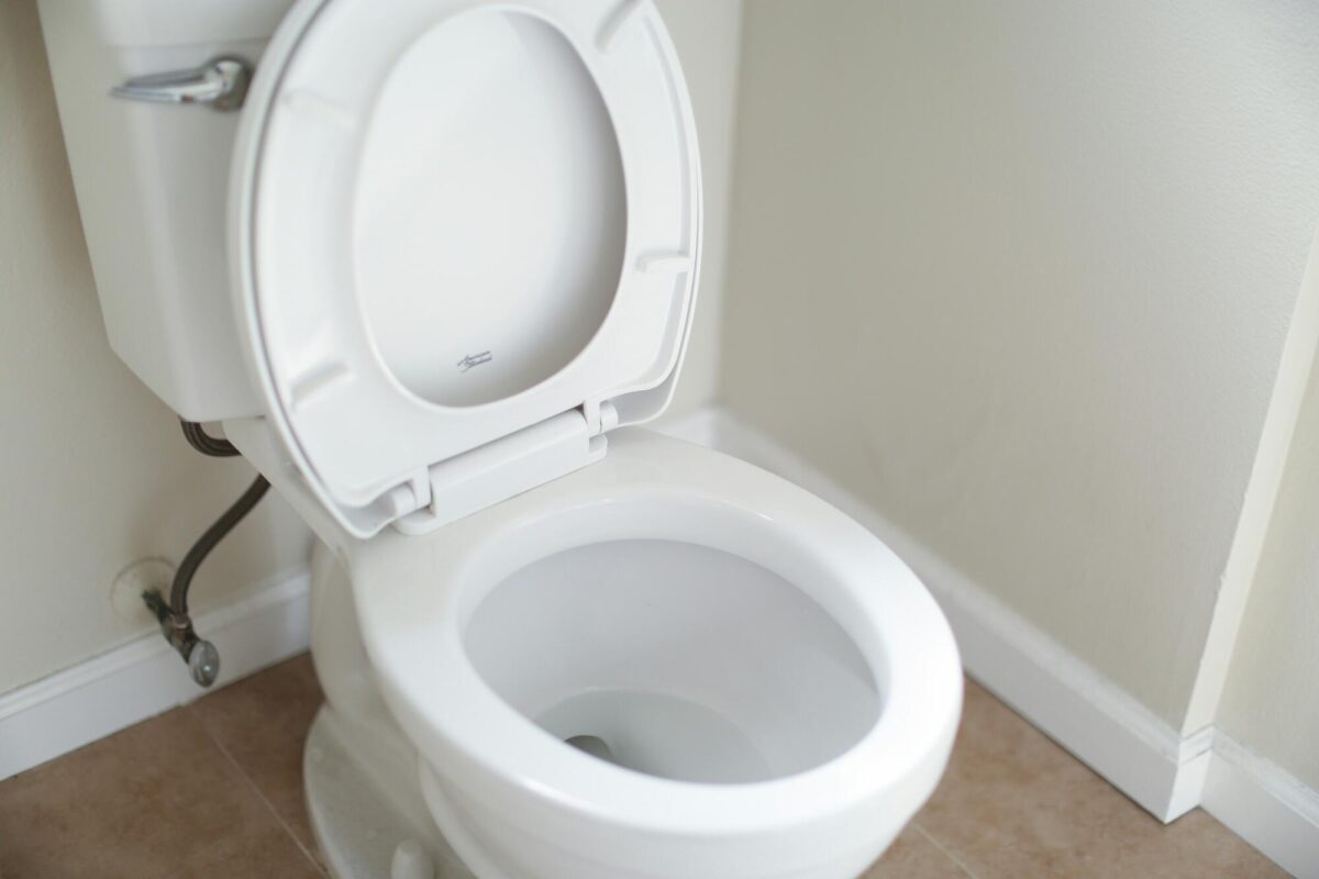 Understanding What Happens When You Flush a Toilet - Ecoair
