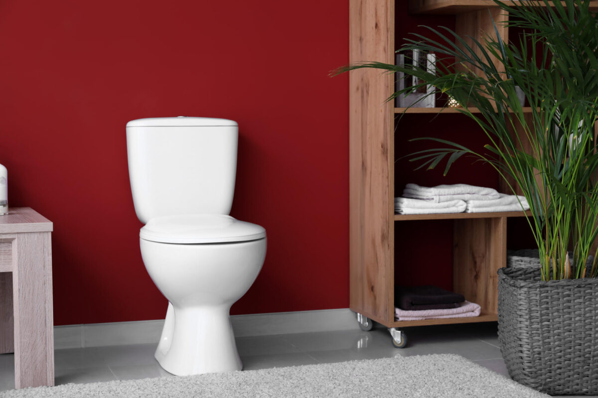 5 Key Benefits of an Eco Toilet You Need to Know - Ecoair